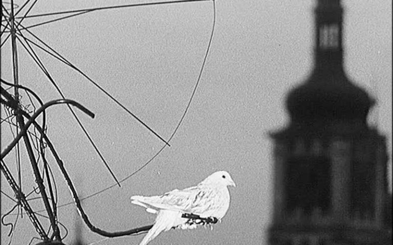 Το Λευκό Περιστέρι (1960)