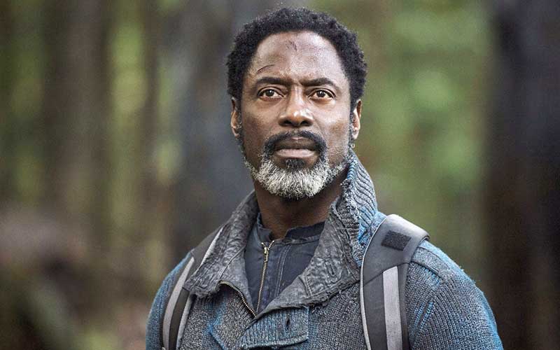 Isaiah Washington | Αϊζάια Ουάσινγκτον • Filmy.gr